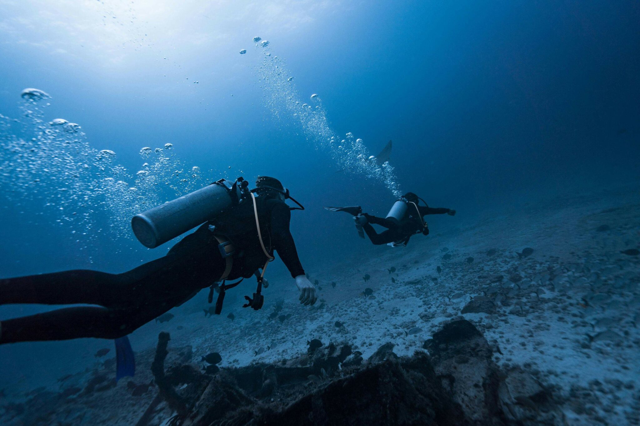 Avanzando en el Buceo: 8 Claves para el Próximo Nivel | Divingpass